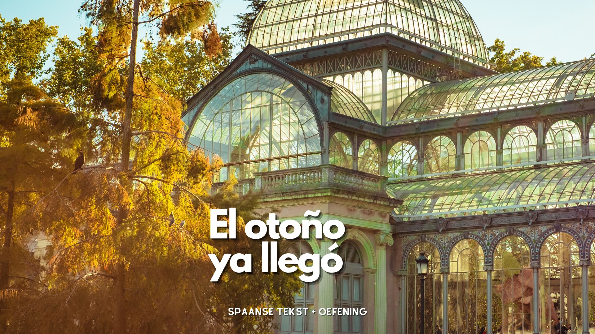 Spaans leren Archieven - Espaans - Blog